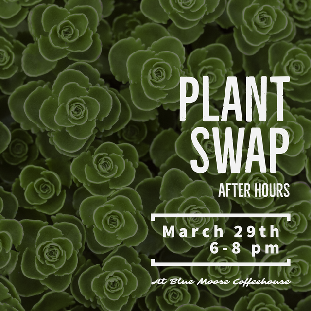 After Hours Plant Swap